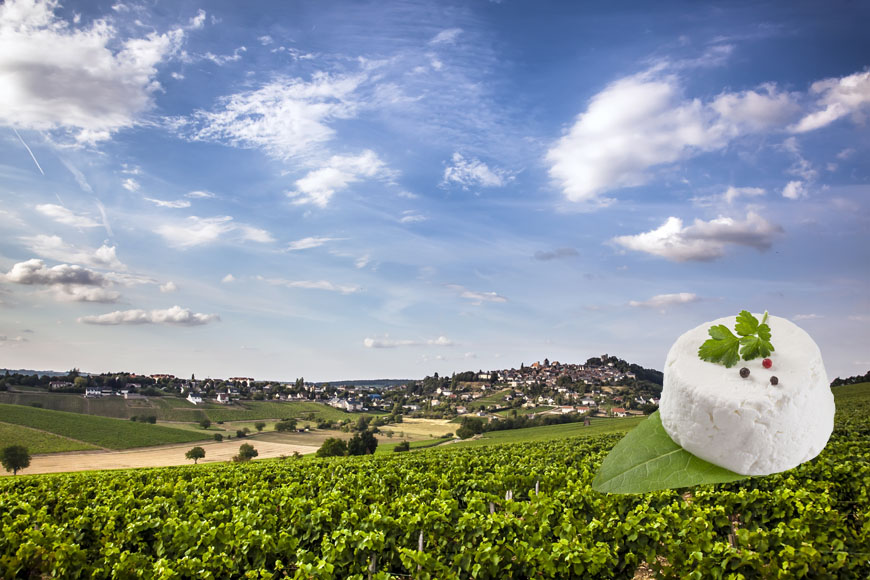 Sancerre et Chavignol - Voyages Girardot, l'Agence de tous vos voyages